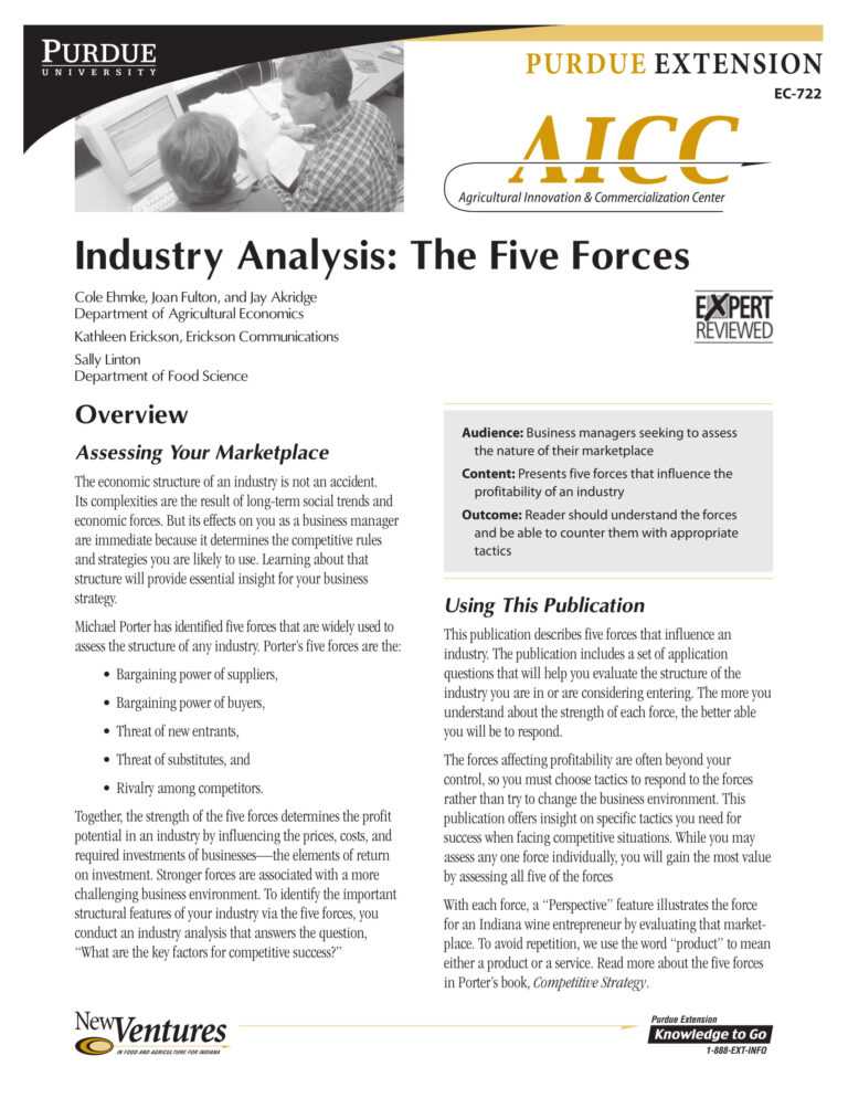 11+ Industry Analysis Examples – Pdf | Examples inside Industry ...