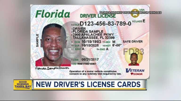 Check Out Florida's New Driver's Licenses And Id Cards intended for ...