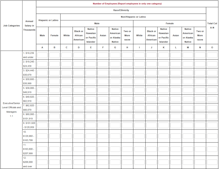 Eeo 1 Report Template – Atlantaauctionco for Eeo 1 Report Template ... Eeo 1 Report Template – Atlantaauctionco for Eeo 1 Report Template ...