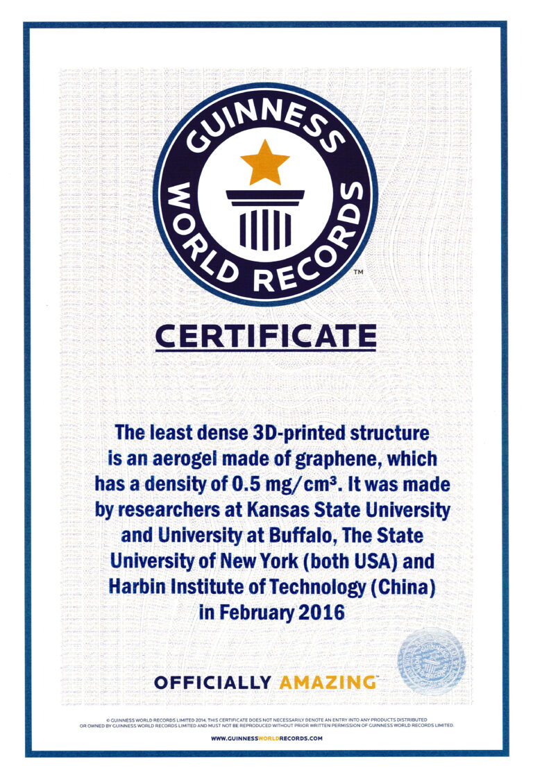 Guinness World Record Certificate Template – Xfanzexpo.com