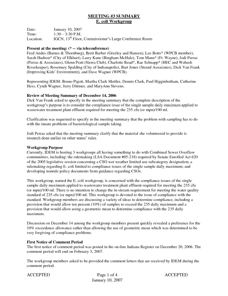 Meeting Summary Examples – Pdf | Examples intended for Conference ...