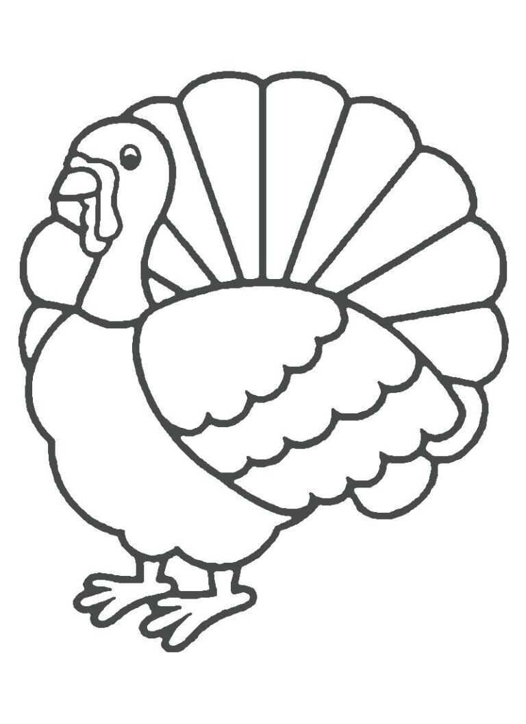 Turkey Drawing To Color At Paintingvalley Explore In Blank Turkey 